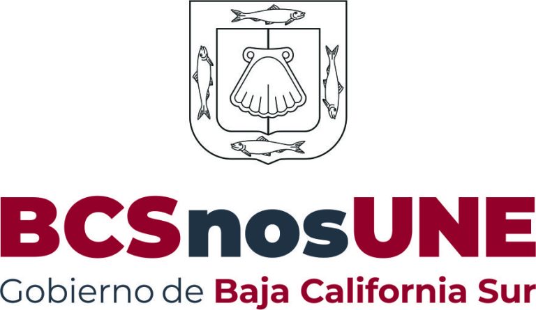 Comunicado Oficial – Gobierno de Baja California Sur