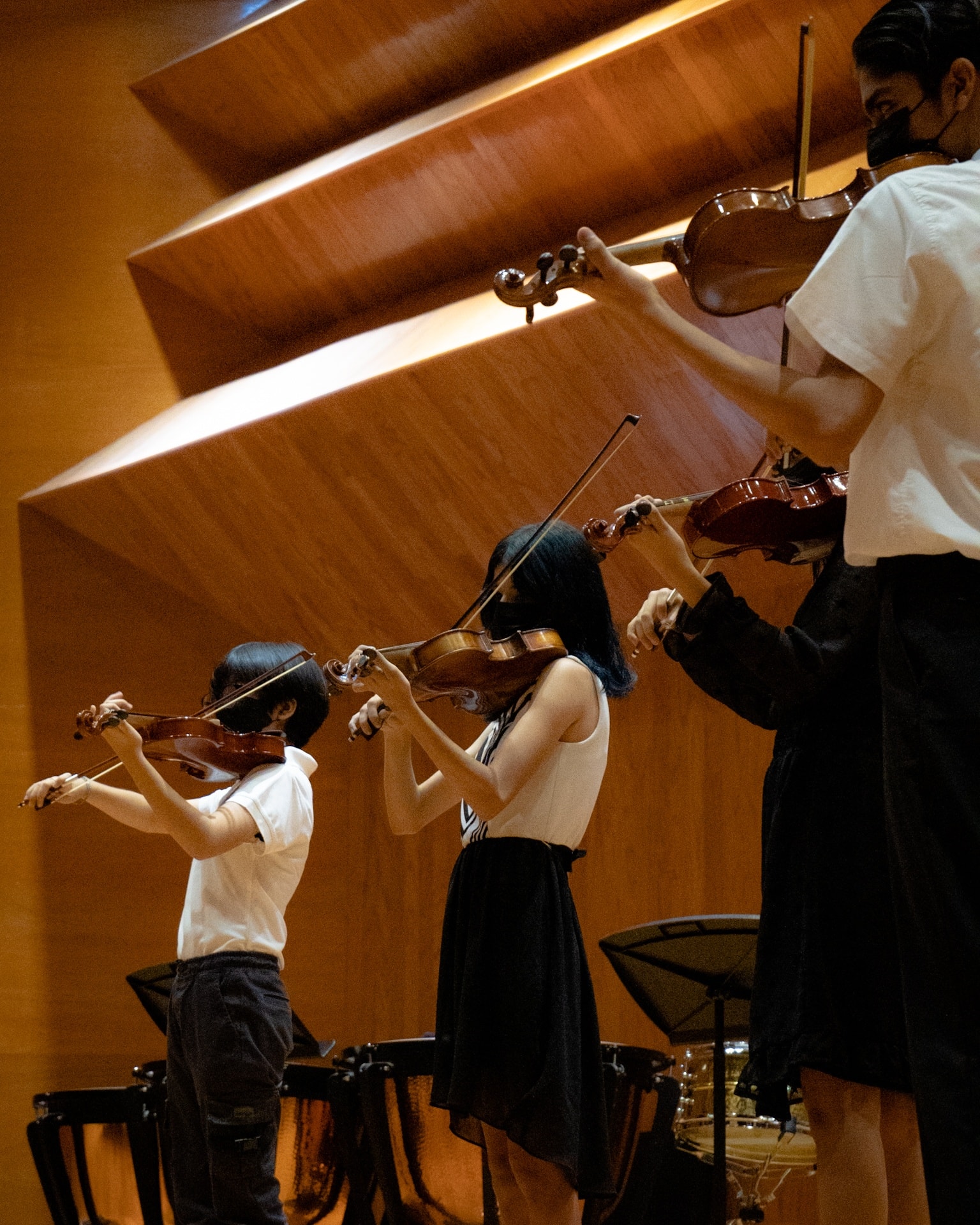 22 de Noviembre, día internacional del Músico – Gobierno de Baja ...