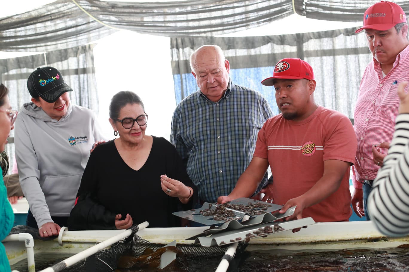 ANUNCIA GOBERNADOR VCC, IMPORTANTES OBRAS PARA ISLA NATIVIDAD, BAHÍA ...